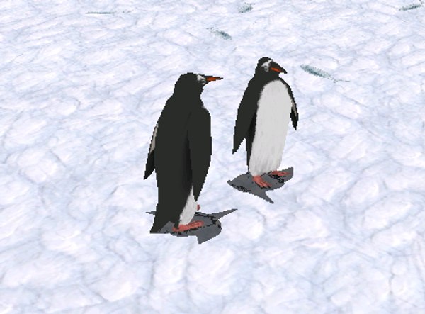 3d penguin animation