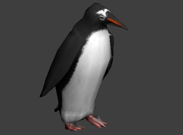 3d penguin animation