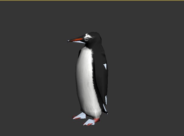 3d penguin animation