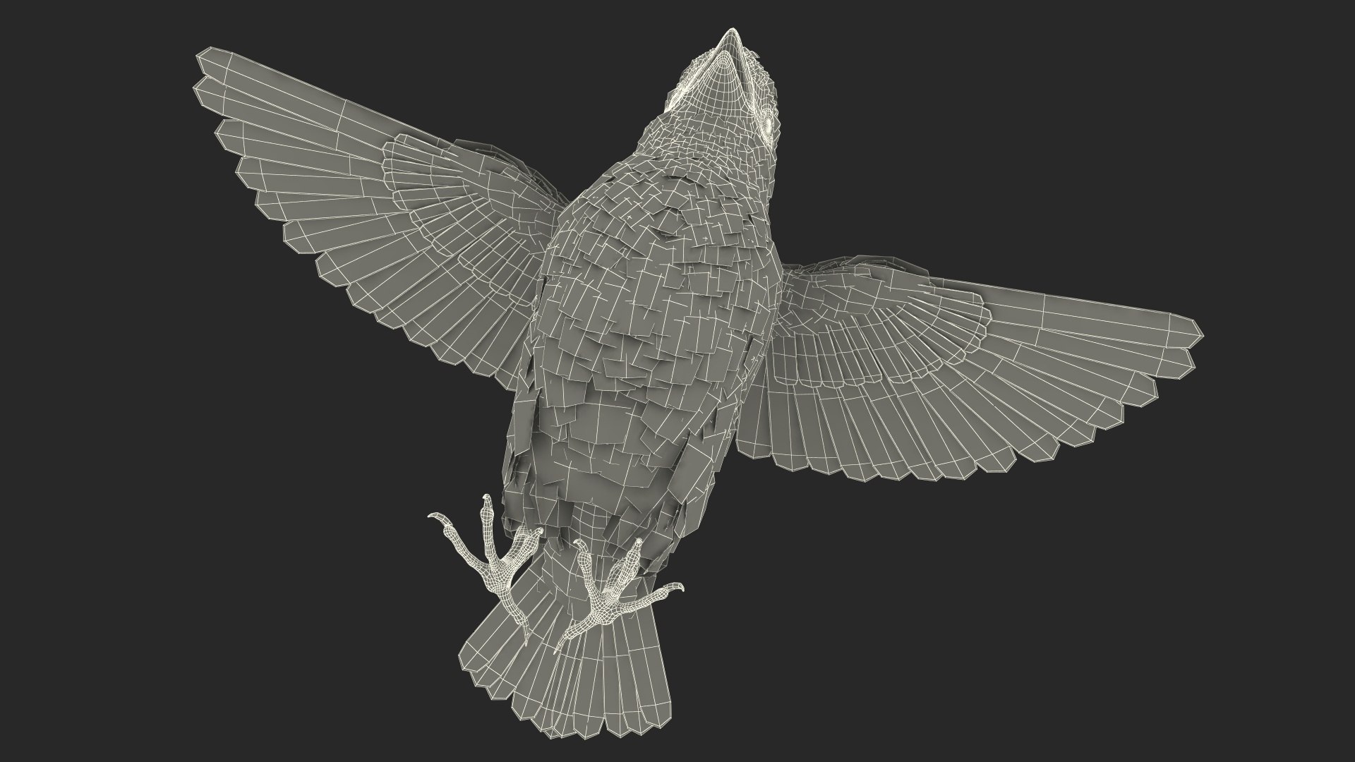 3D House Sparrow Rigged model - TurboSquid 2141569