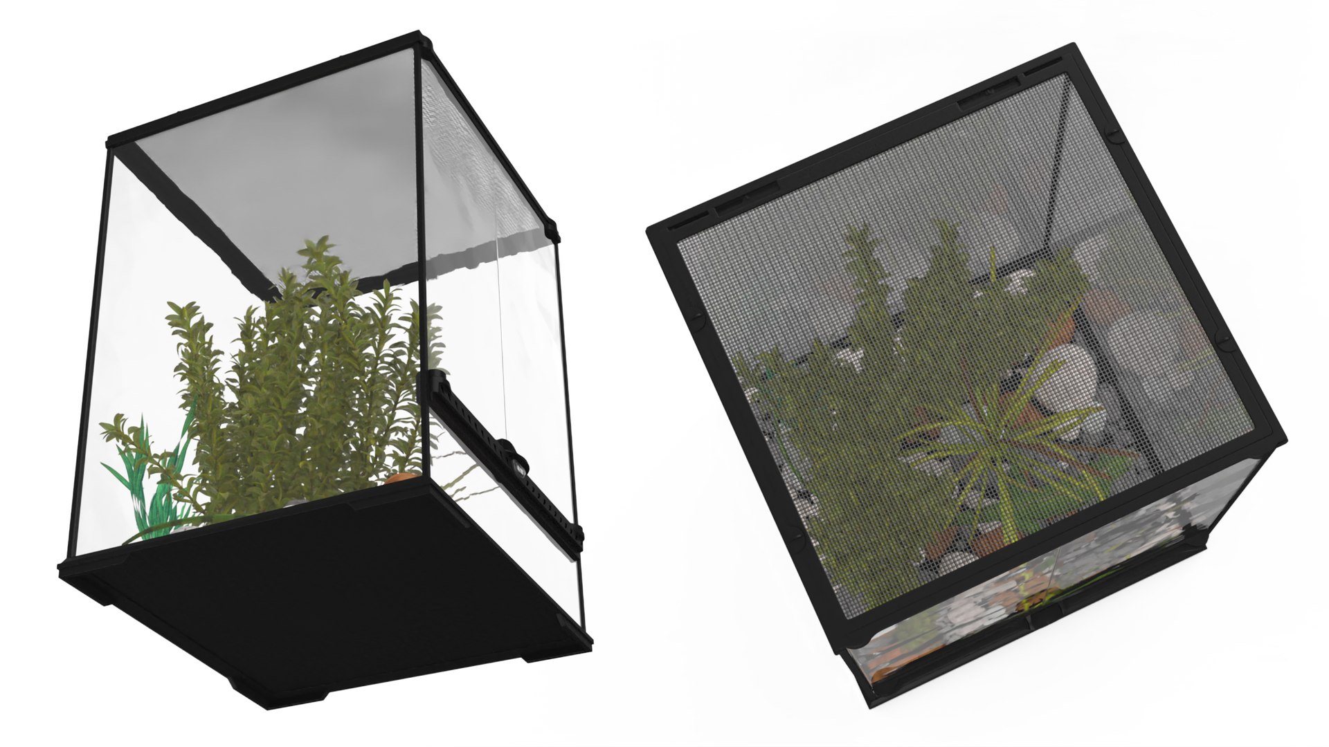 Tall Terrarium For Reptiles With Iguana 3D - TurboSquid 2145651