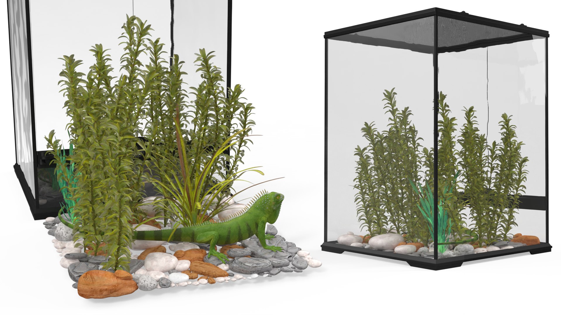 Tall Terrarium For Reptiles With Iguana 3D - TurboSquid 2145651