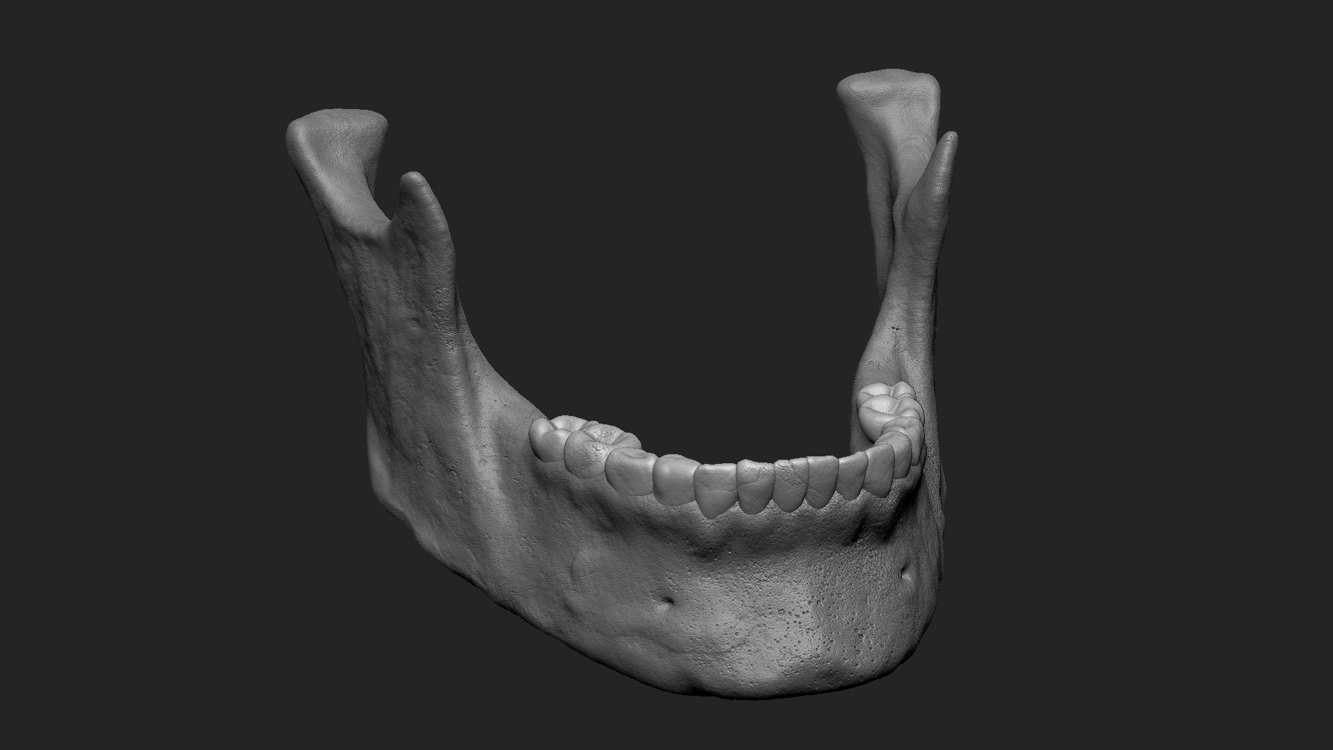 Human Skull Female Cranium 3D - TurboSquid 1536371