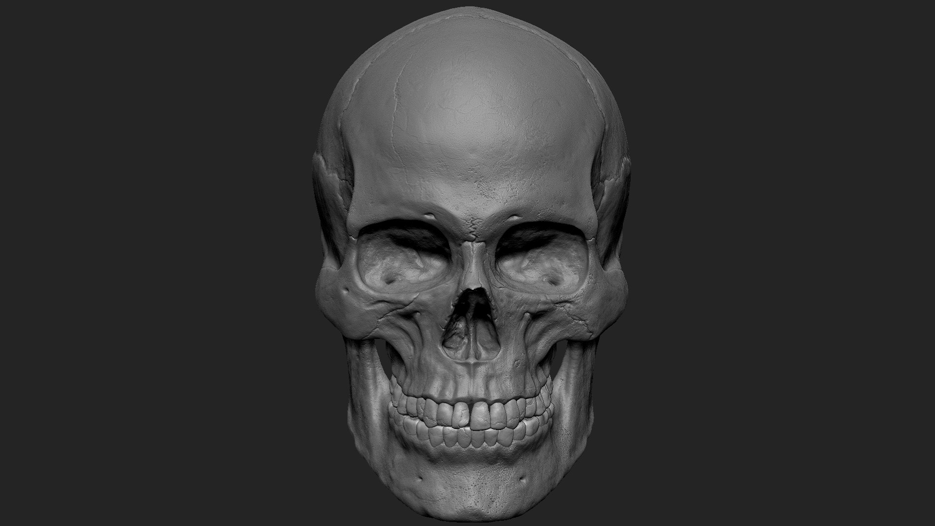 Human Skull Female Cranium 3D - TurboSquid 1536371