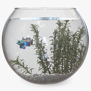 Download 3D Aquarium Blender Models - TurboSquid