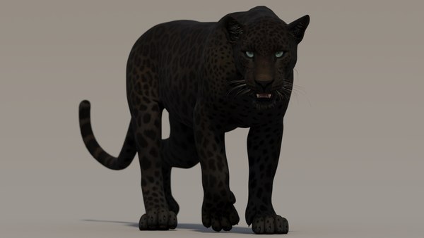 modelo 3d Modelo 3D animado de Pantera Negra - TurboSquid 2373724