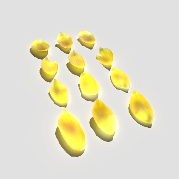 3d model rose petals