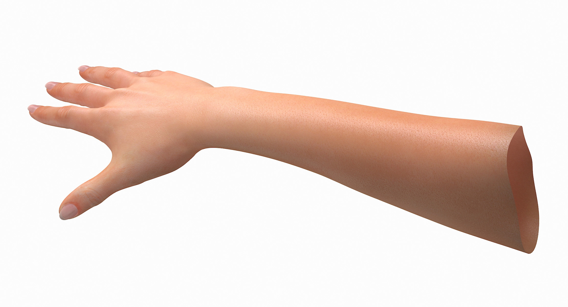 3D female arm model - TurboSquid 1182926