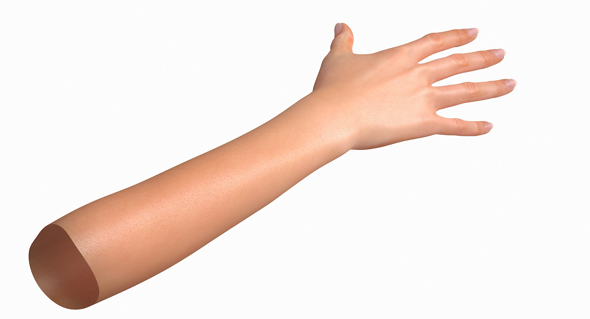 3D female arm model - TurboSquid 1182926