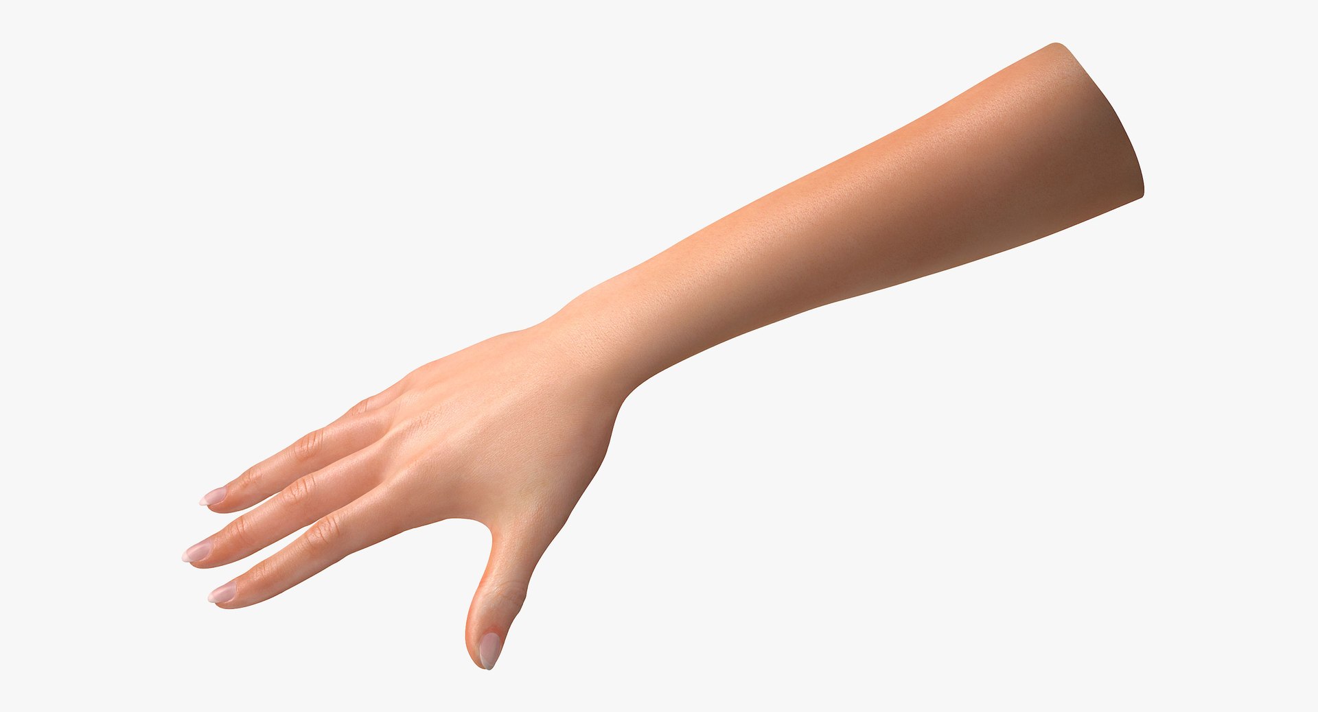 3D Female Arm Model - TurboSquid 1182926