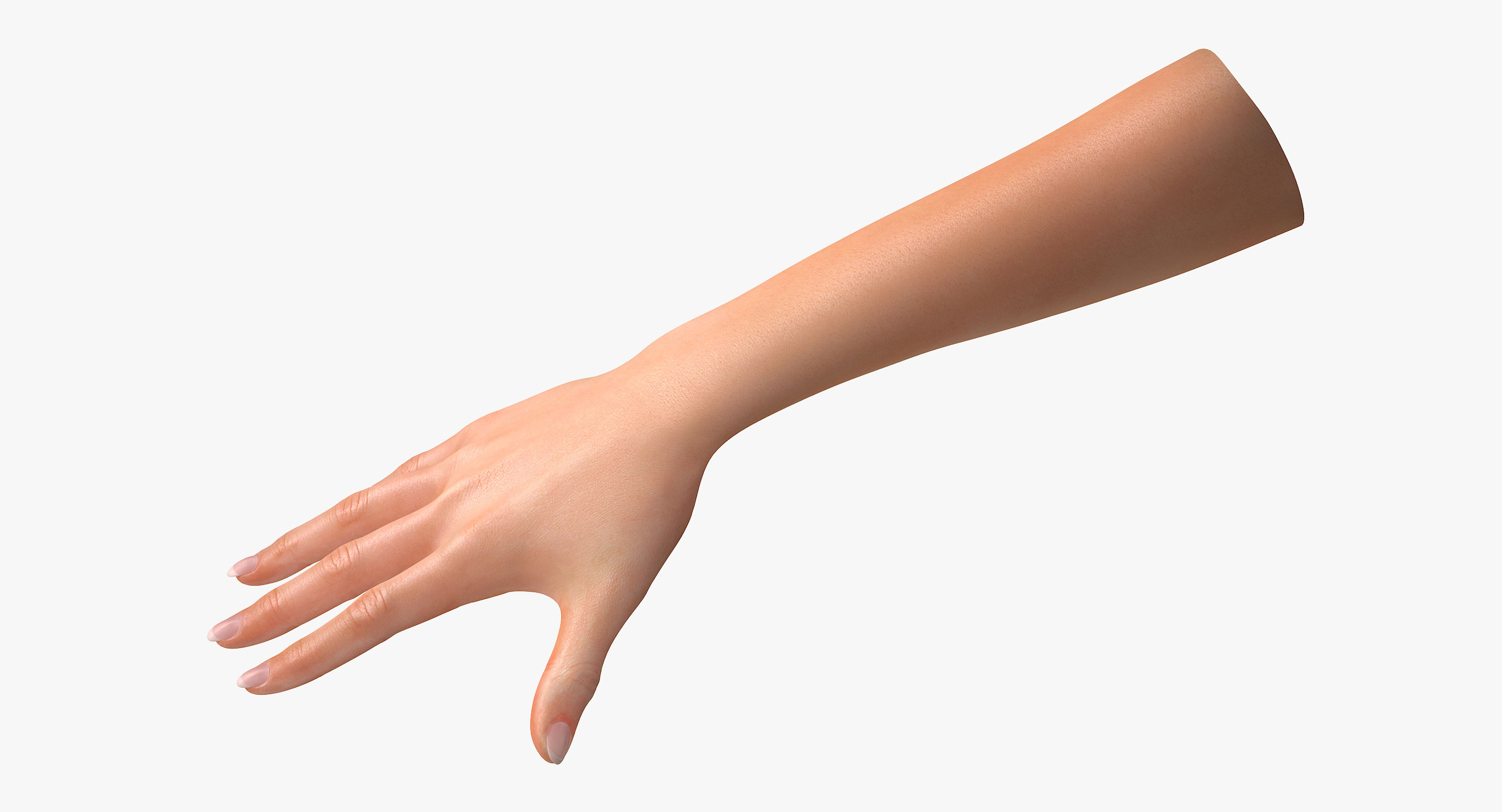 3D female arm model - TurboSquid 1182926