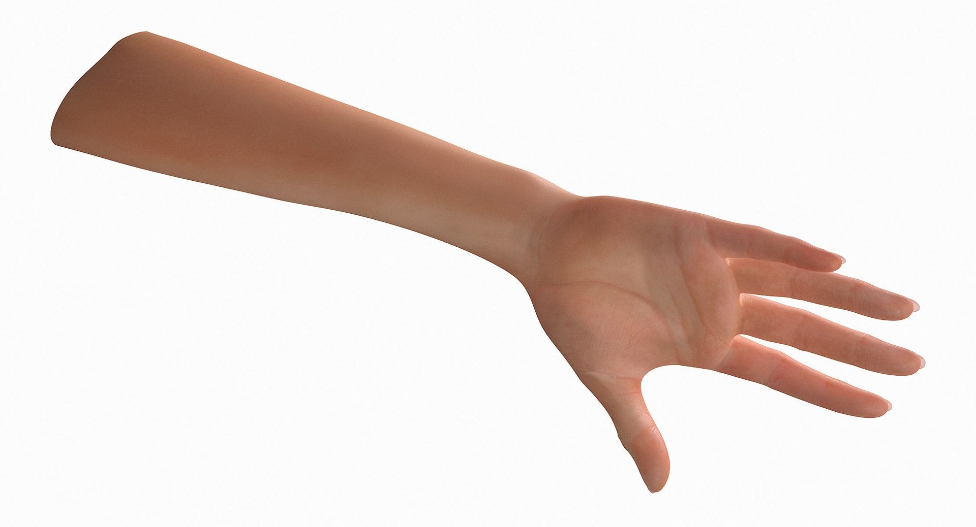 3D Female Arm Model - TurboSquid 1182926