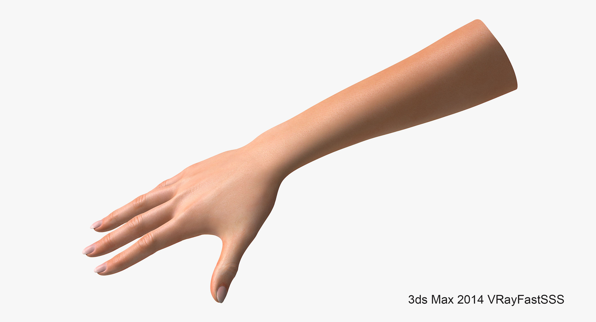 3D female arm model - TurboSquid 1182926
