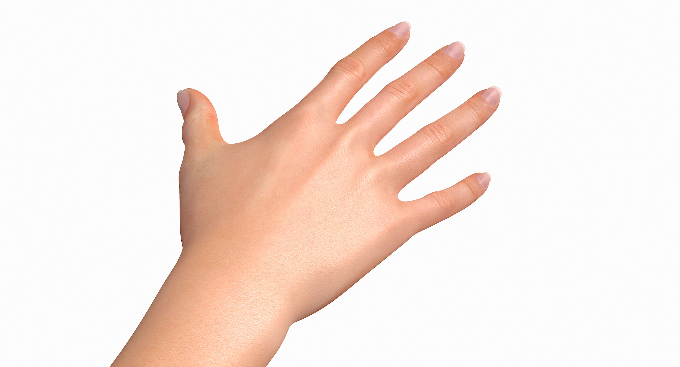 3D female arm model - TurboSquid 1182926