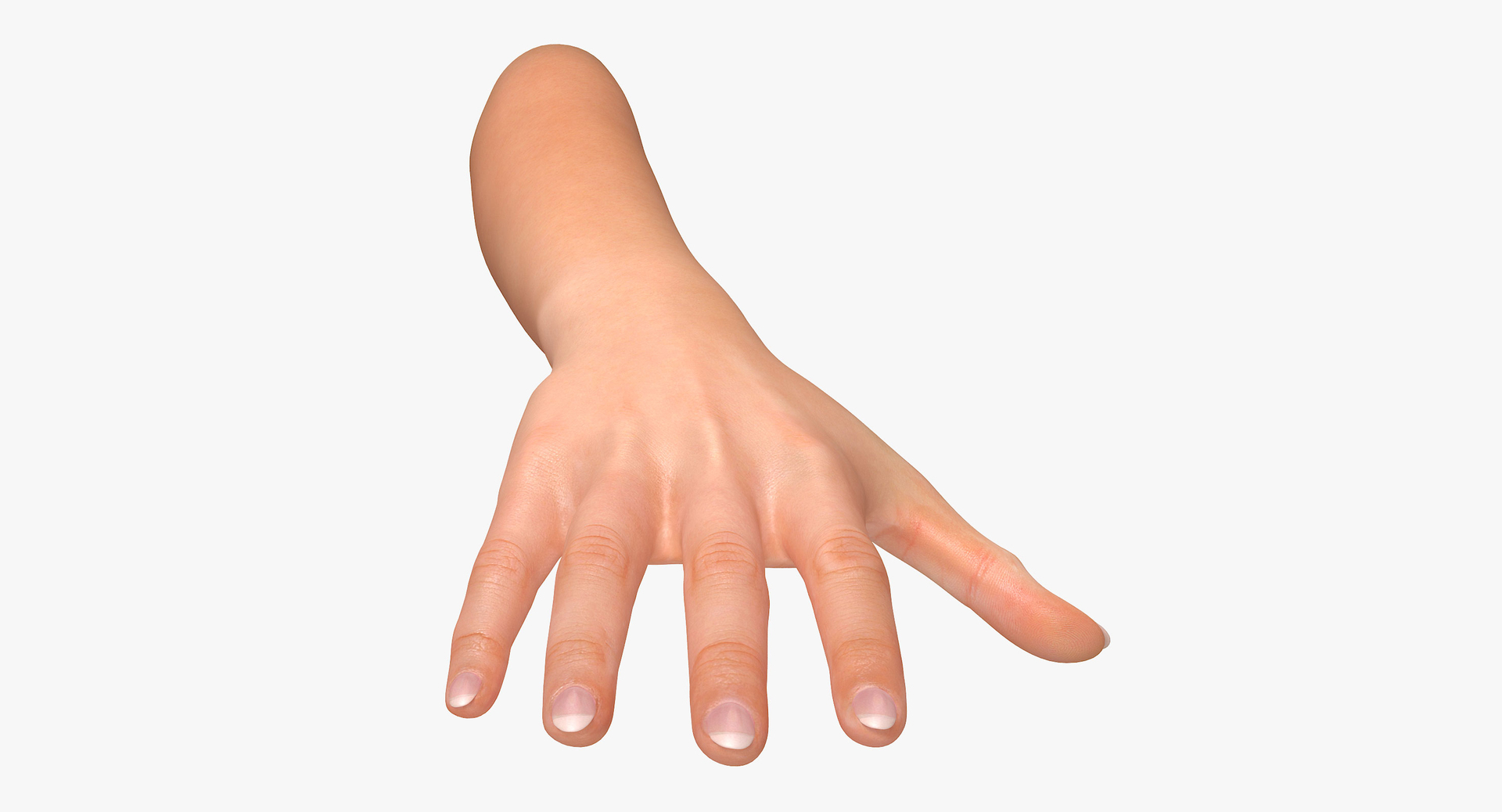 3D female arm model - TurboSquid 1182926