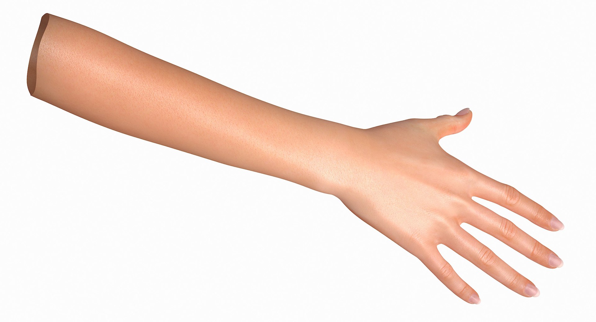 3D female arm model - TurboSquid 1182926