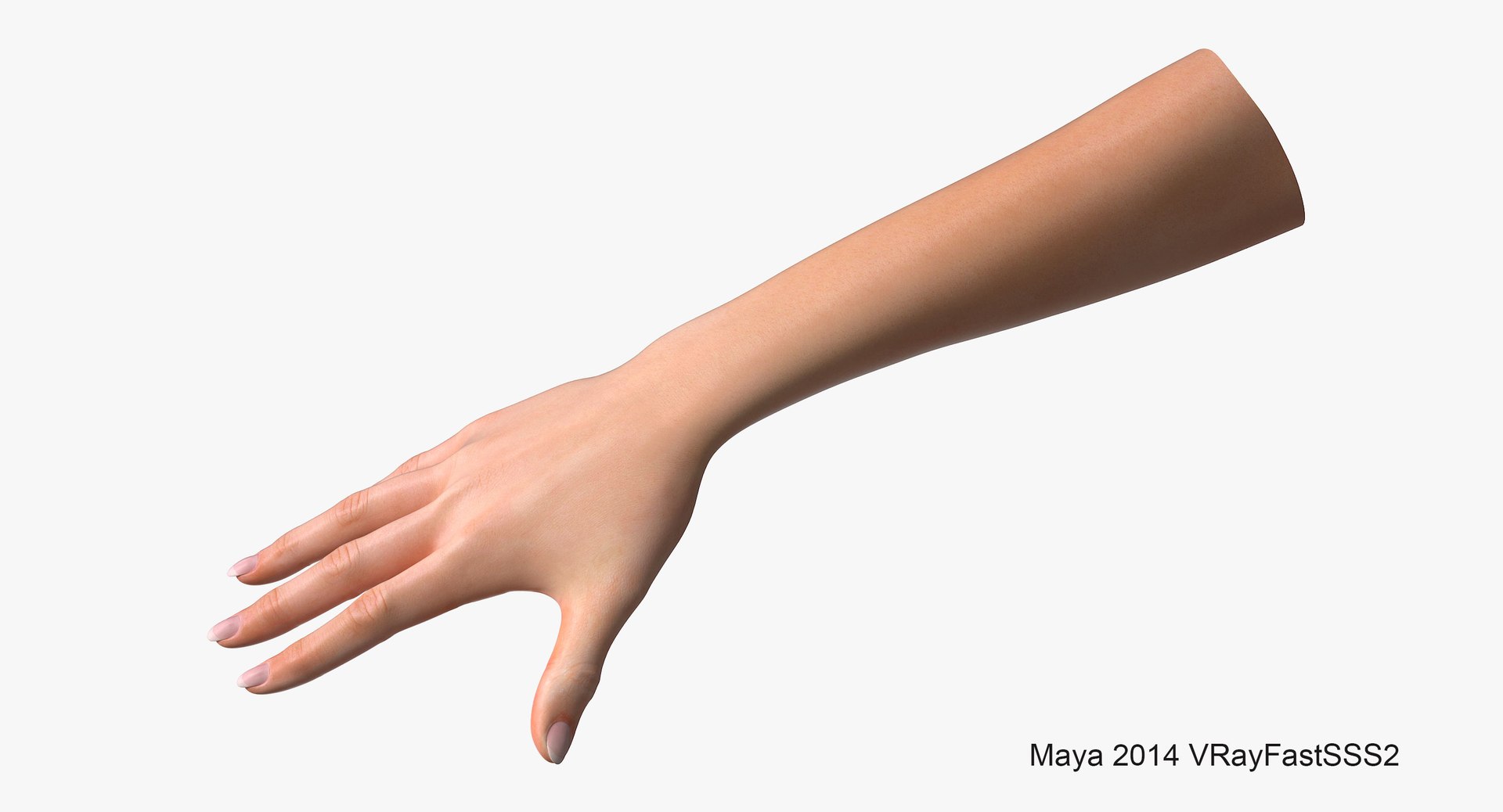 3D Female Arm Model - TurboSquid 1182926