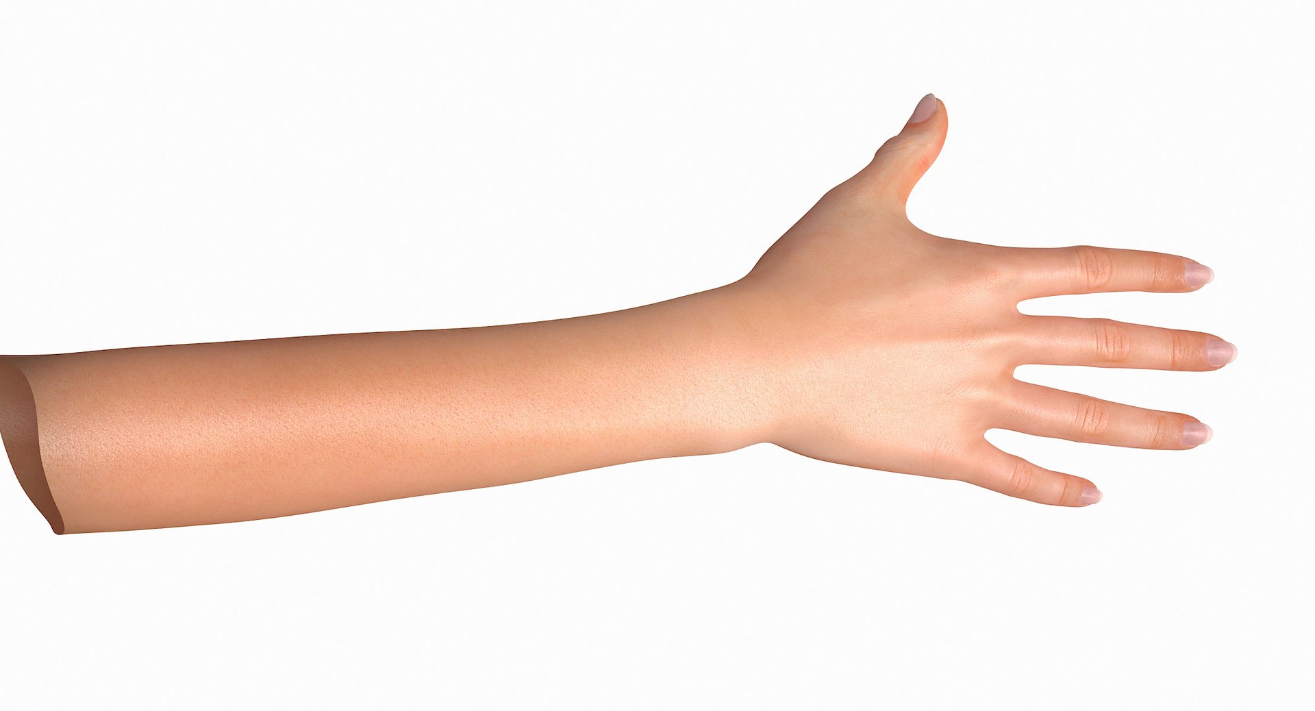 3D Female Arm Model - TurboSquid 1182926