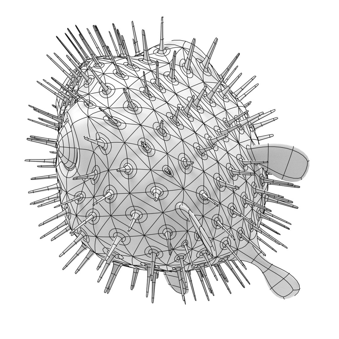 3d Diodon Holocanthus
