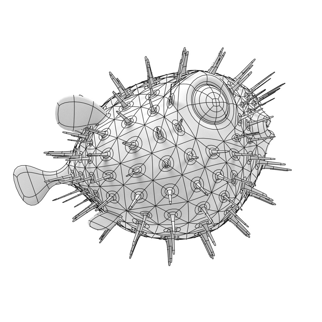 3d Diodon Holocanthus