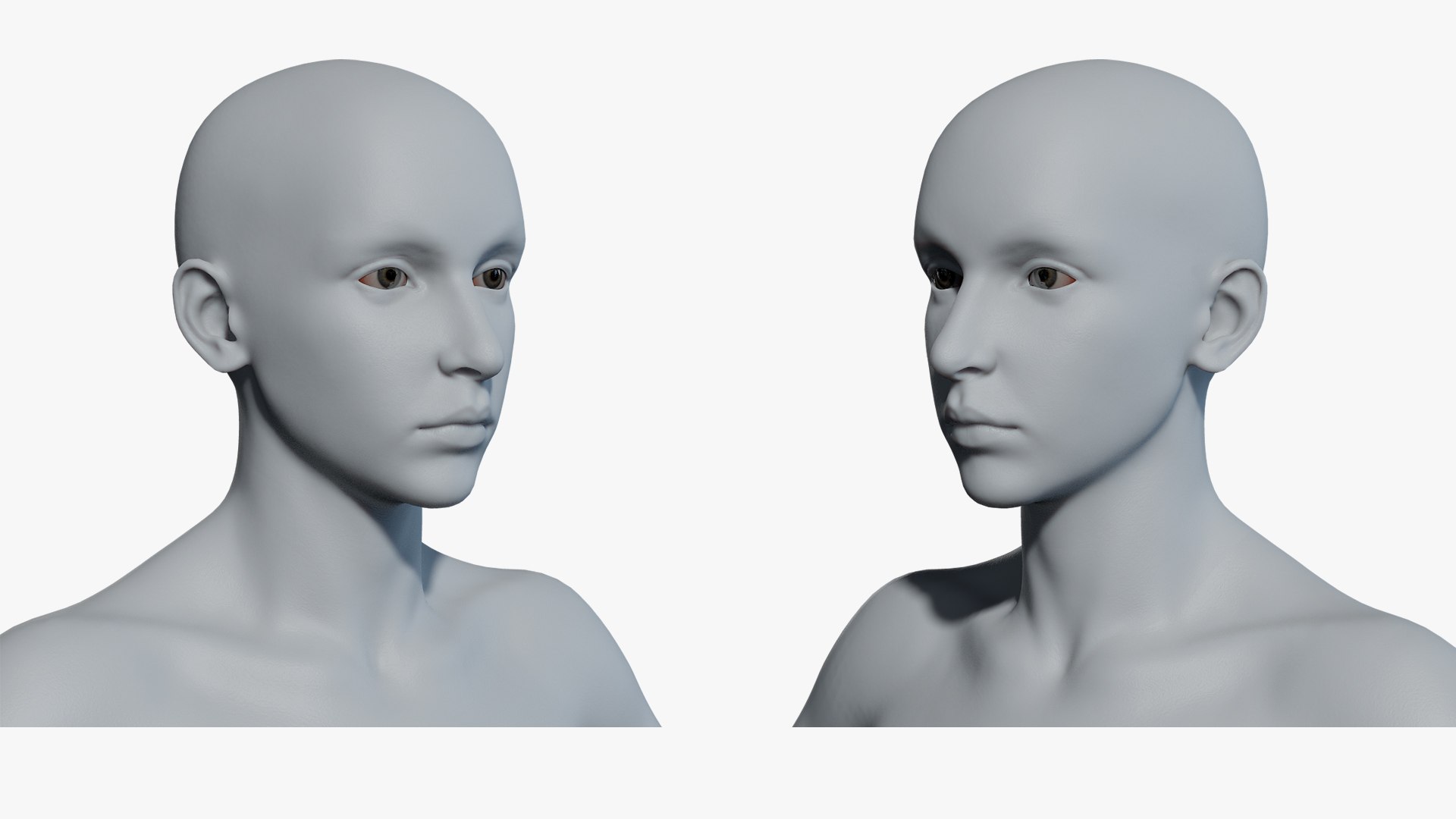 Base Body 3D Model - TurboSquid 1679068