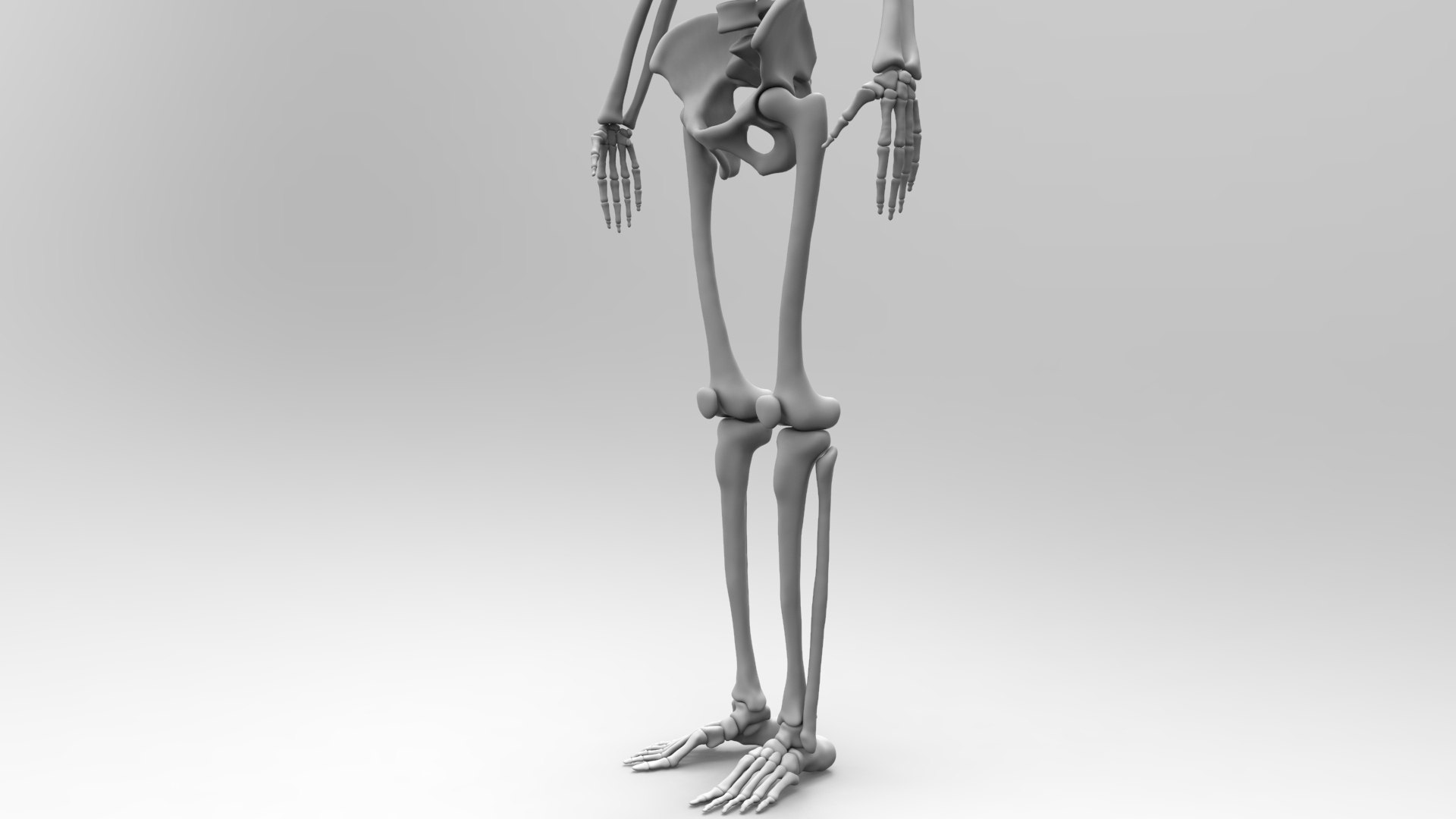 Skeleton Unity Rigged 3D Model - TurboSquid 1521417