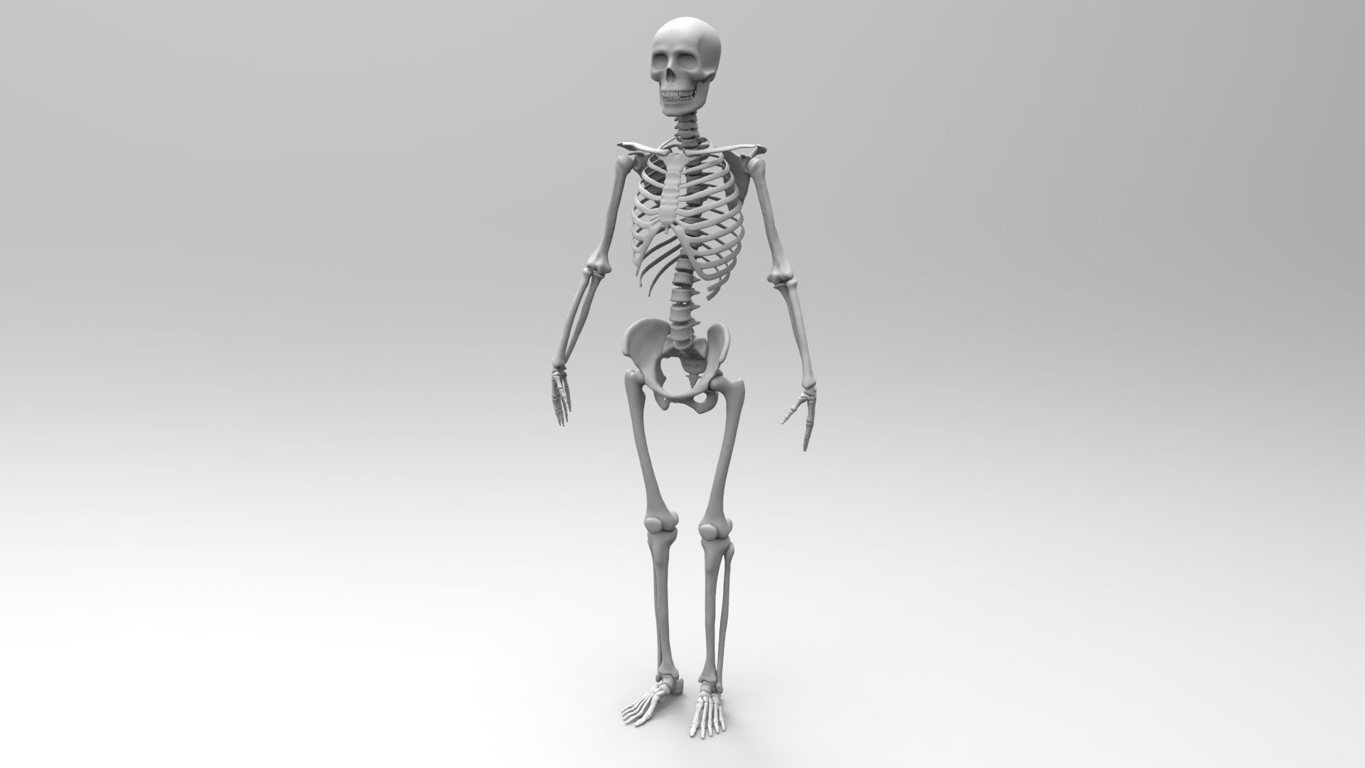 Skeleton Unity Rigged 3D Model - TurboSquid 1521417