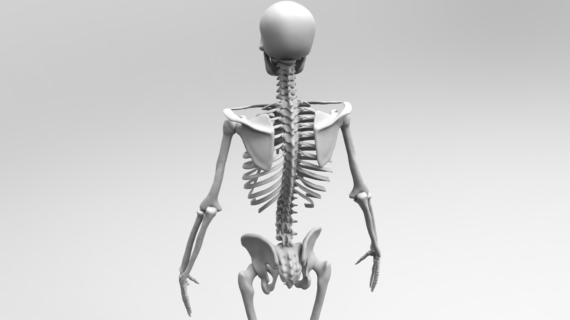 Skeleton Unity Rigged 3D Model - TurboSquid 1521417
