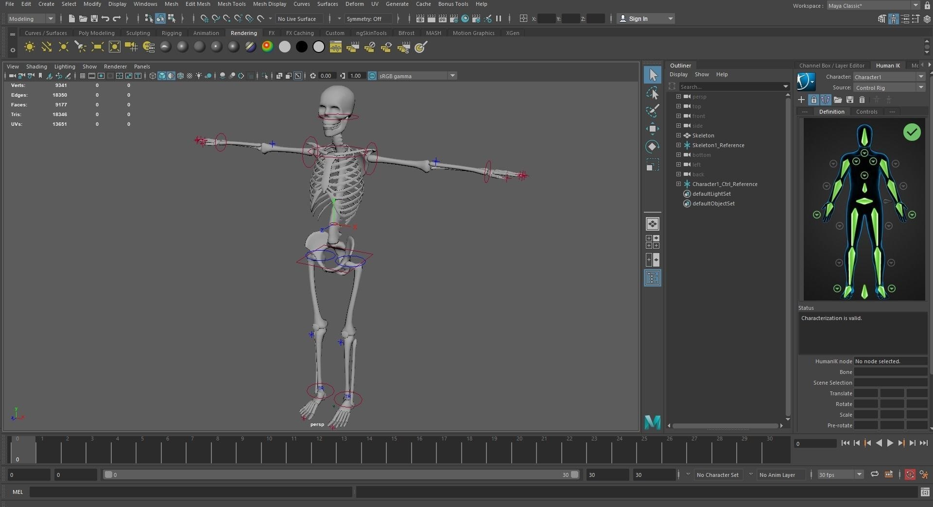 Skeleton Unity Rigged 3D Model - TurboSquid 1521417