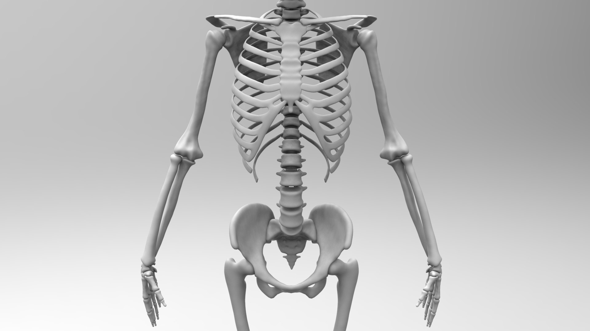 Skeleton Unity Rigged 3D Model - TurboSquid 1521417