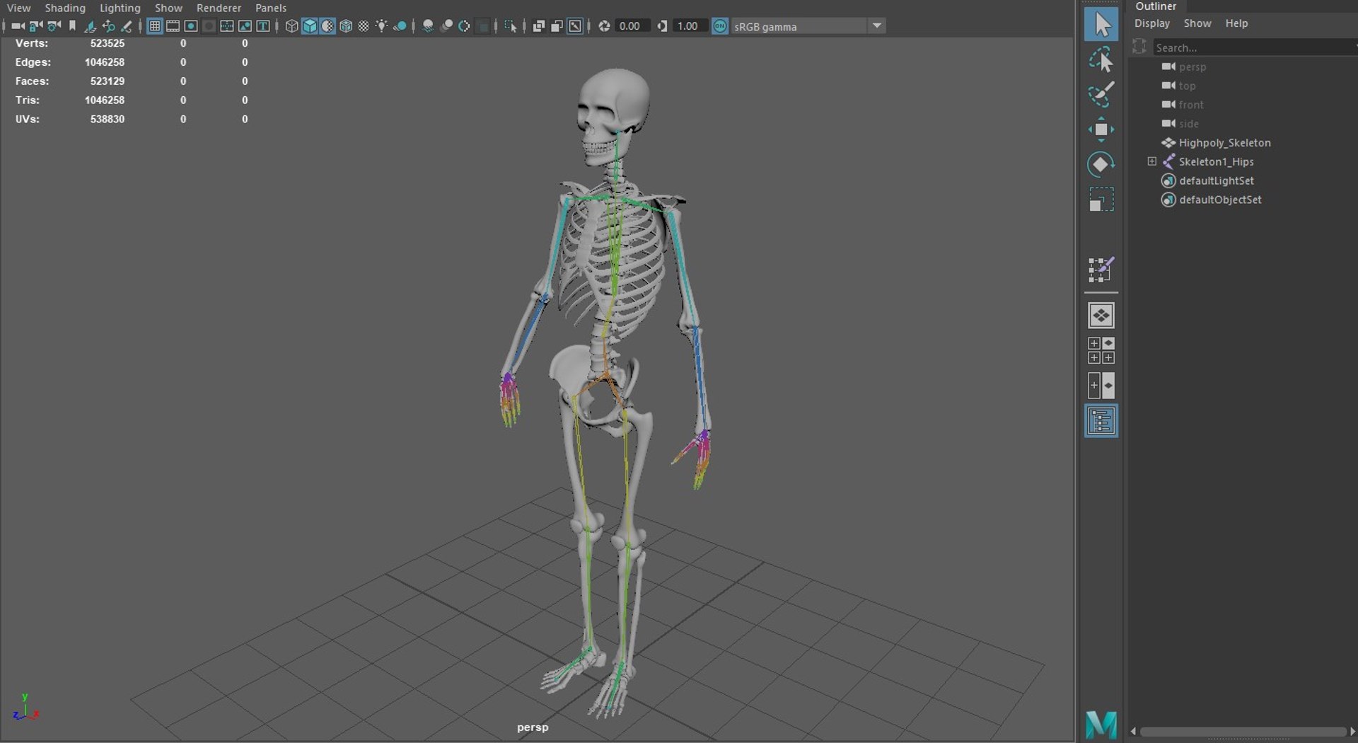 Skeleton Unity Rigged 3D Model - TurboSquid 1521417