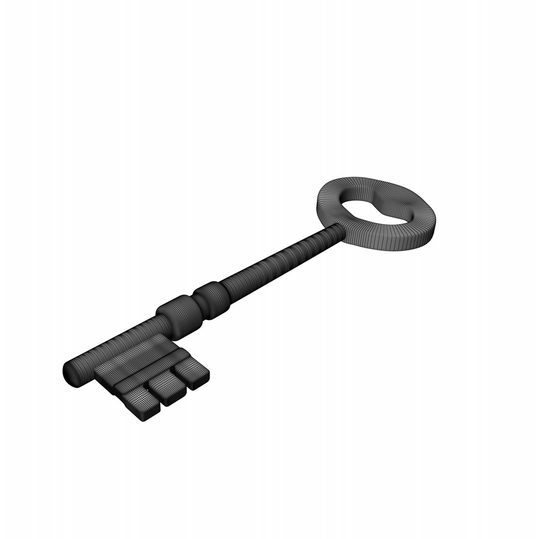 Key 3D Model - TurboSquid 2318595