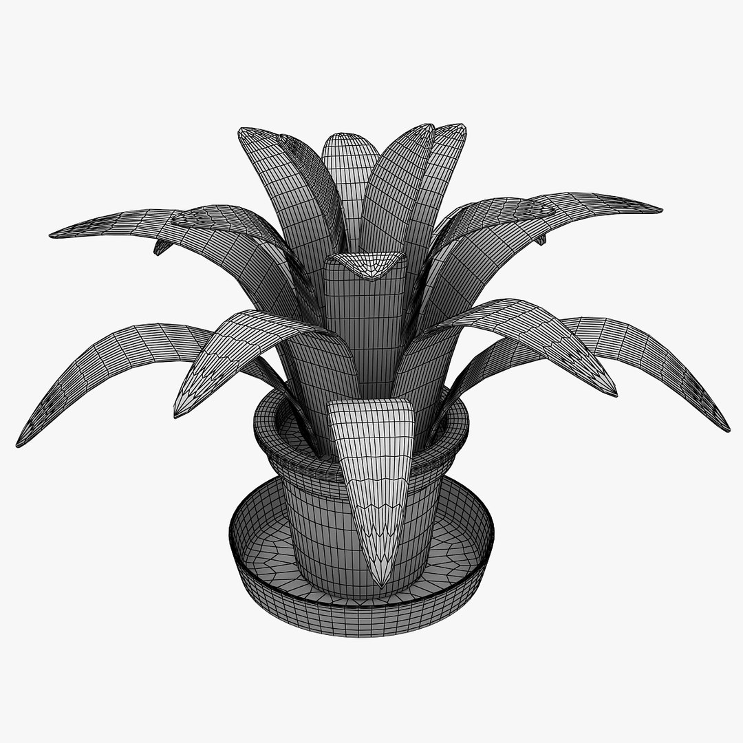 3D Model Plant - TurboSquid 1434899