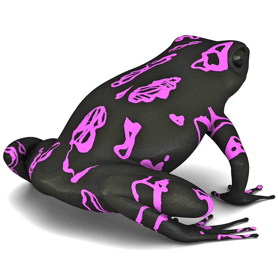 Atelopus Frog 3ds