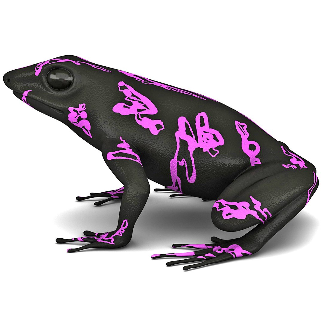 Atelopus Frog 3ds