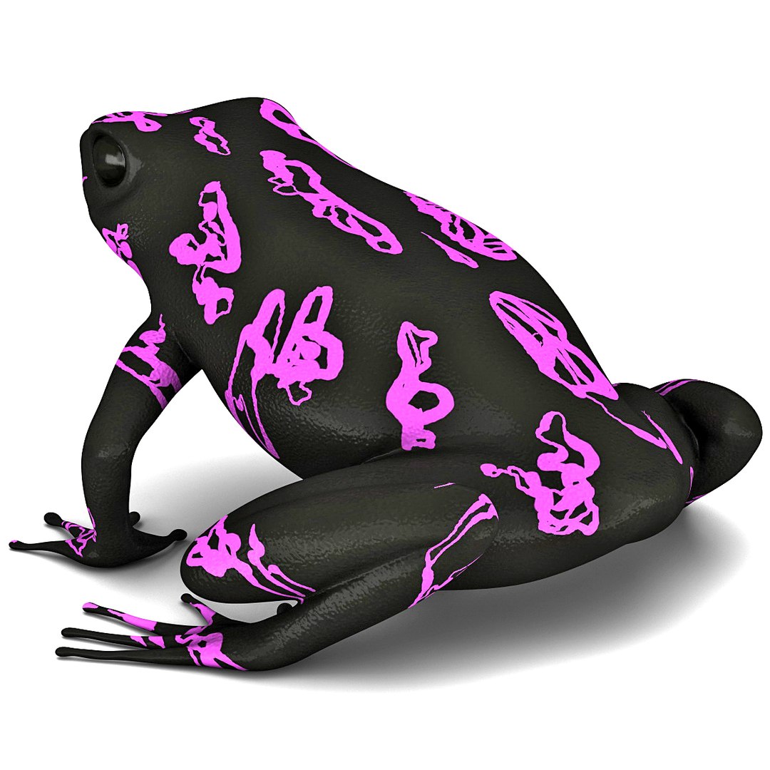 Atelopus Frog 3ds