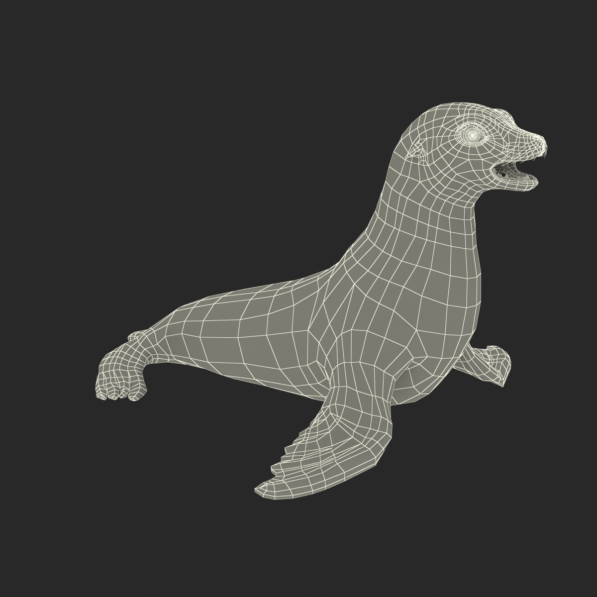 3d sea lion rigged
