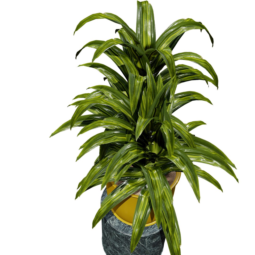 3D Realistic Corn Plant Asset Model - TurboSquid 2283365