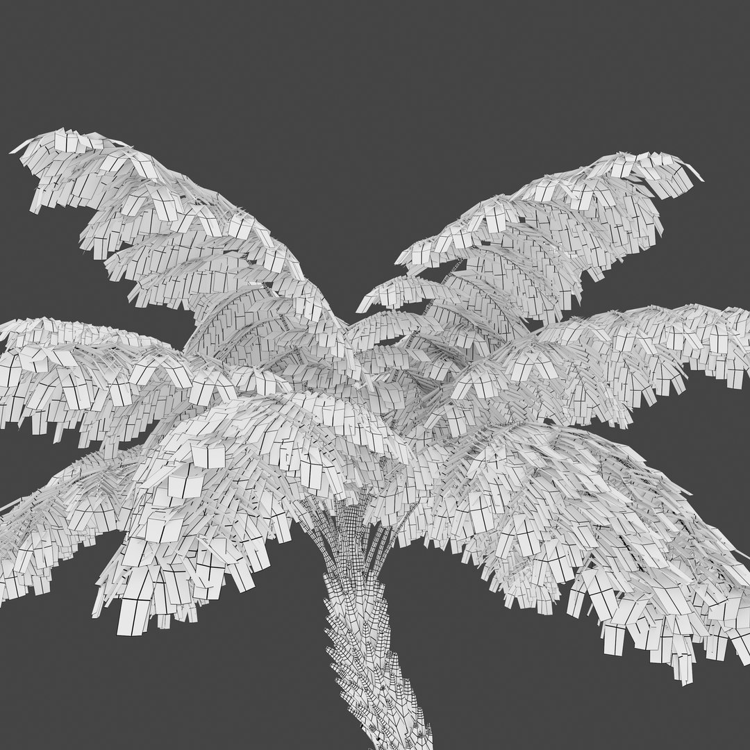 Tree Fern 3D Model - TurboSquid 1945565