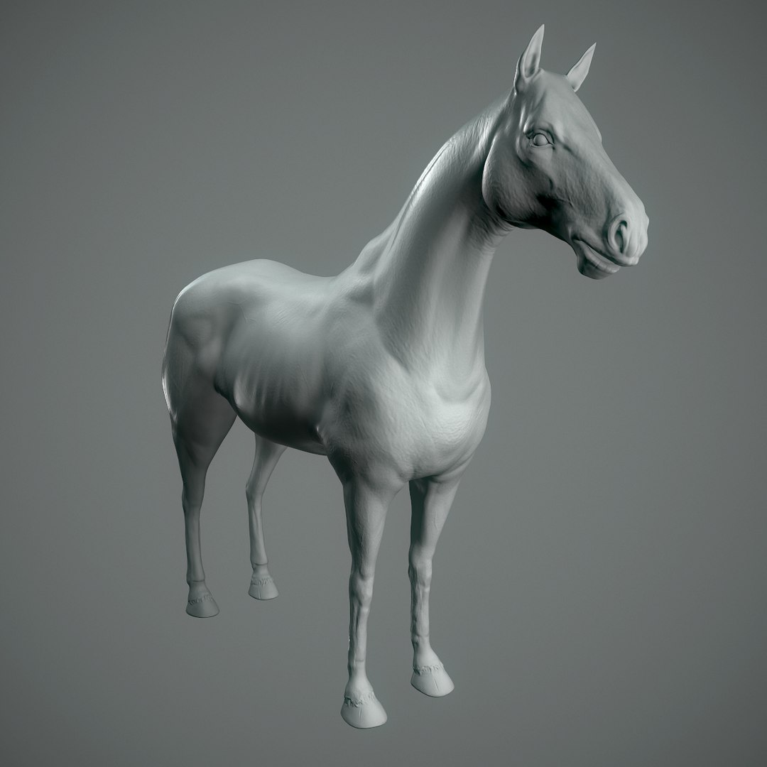 3D Base Horse Retopo Model - TurboSquid 1246328