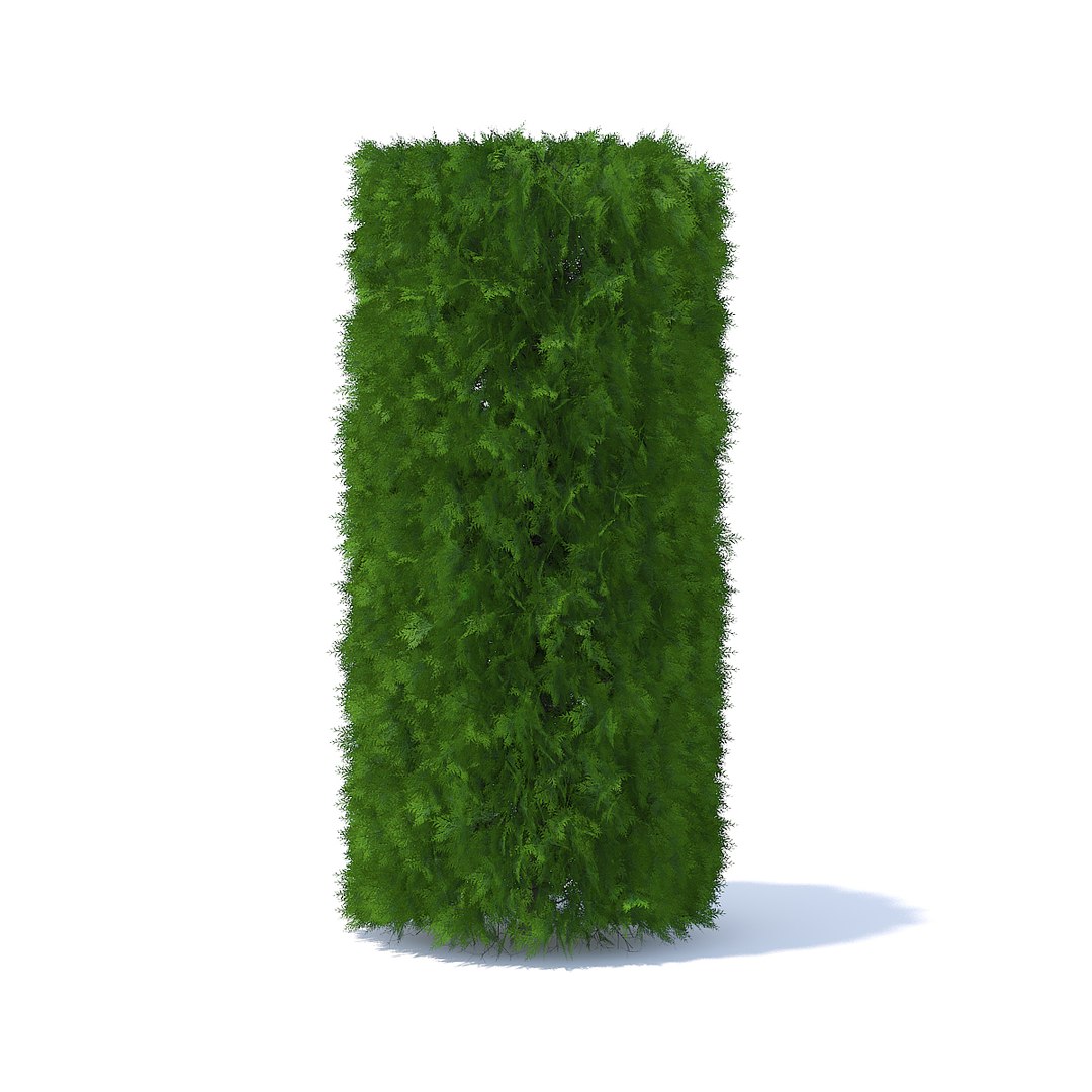 3D Cylindrical Thuja Hedge Model - TurboSquid 1220840