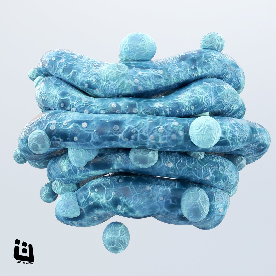 3d Golgi Complex