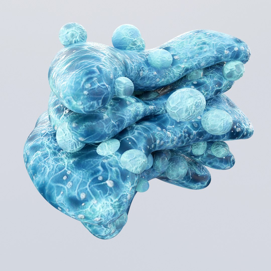 3d Golgi Complex