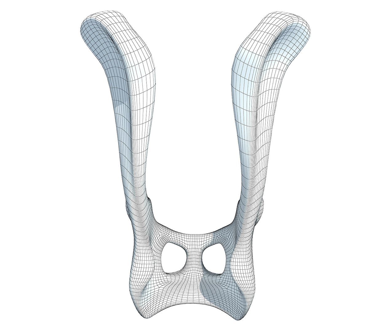Animal pelvis 3D - TurboSquid 1177853