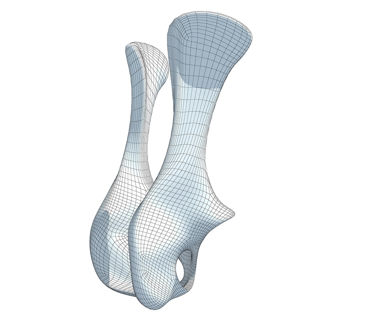 Animal pelvis 3D - TurboSquid 1177853