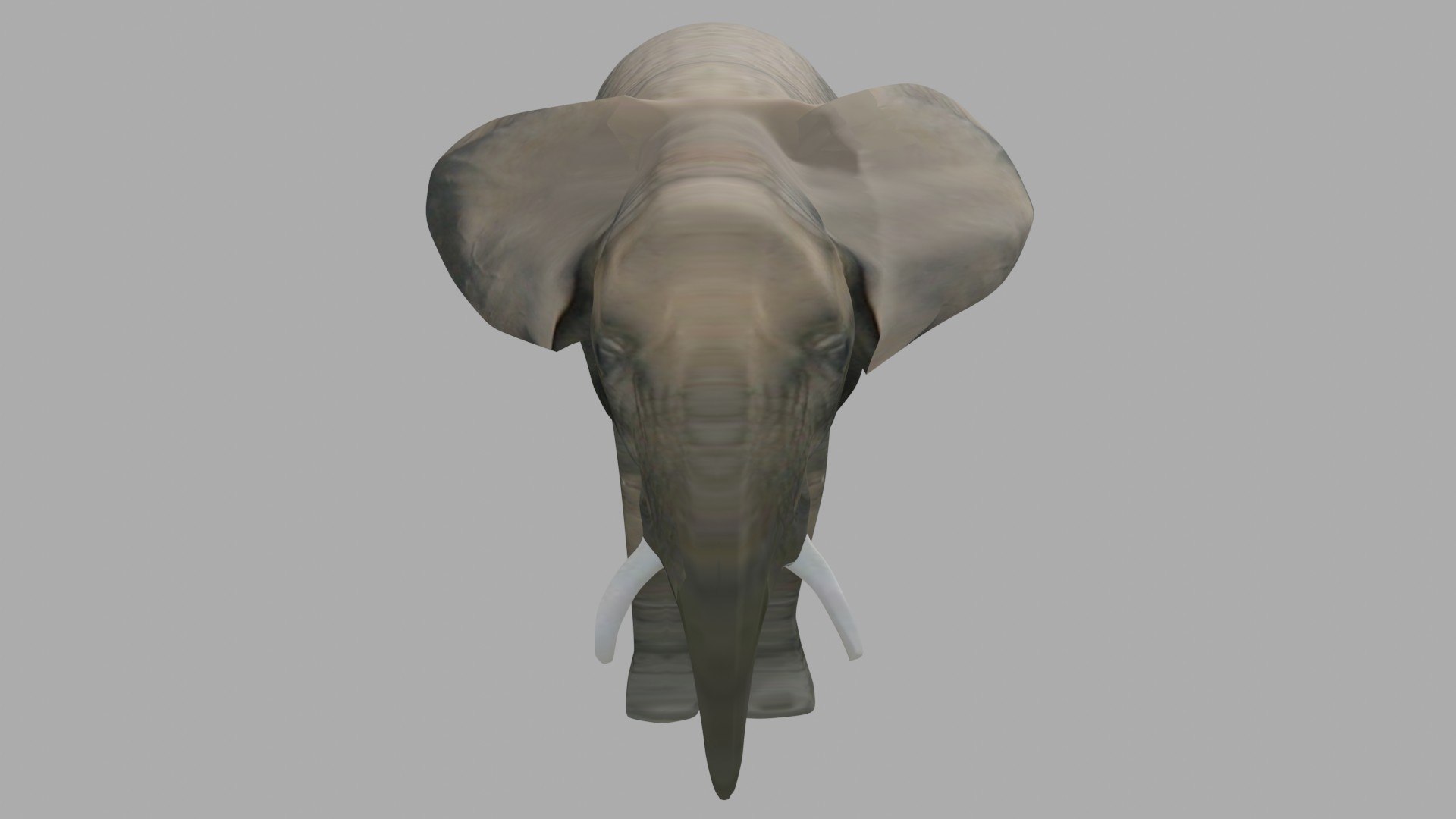 3D Elephant OBJ Model - TurboSquid 2064086