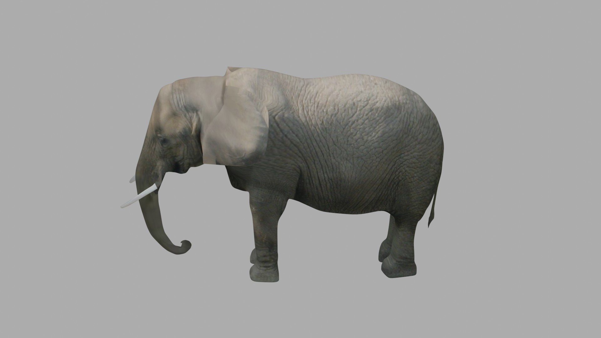 3D Elephant OBJ Model - TurboSquid 2064086