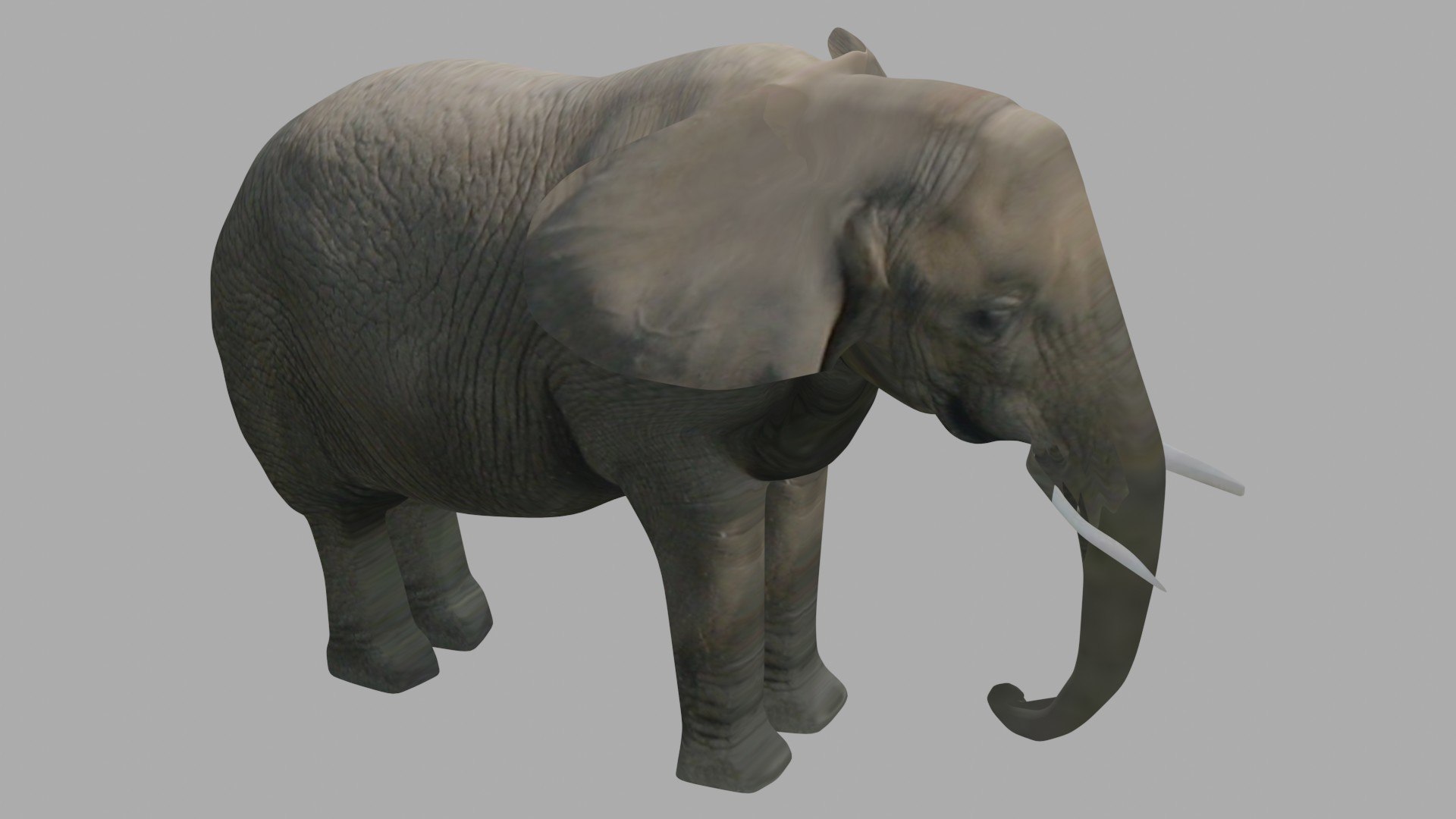 3D Elephant OBJ Model - TurboSquid 2064086