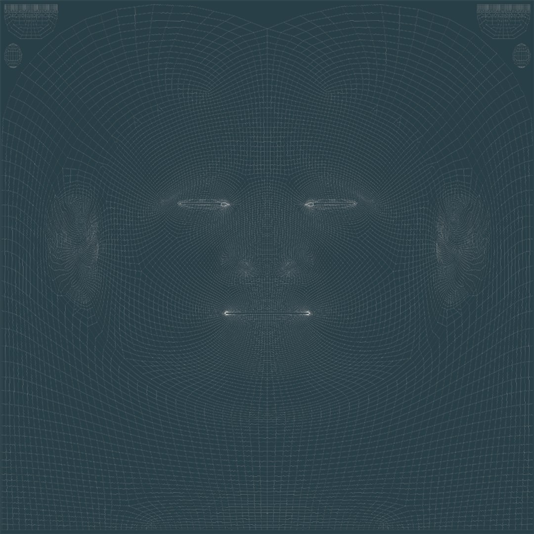 Asian Female Head Base Mesh Metahuman Topology V2 Model - TurboSquid ...