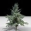 Tree Plant 3d Model